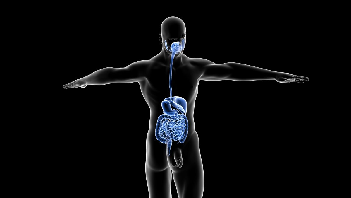 Ontstaan Barrett slokdarm verder ontrafeld - Amazing Erasmus MC