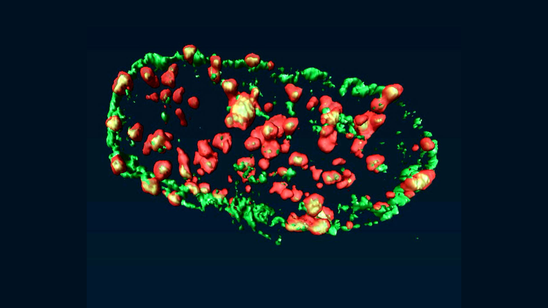 Discovery turns ideas about protein packing of DNA upside down ...